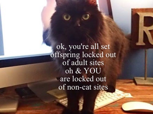 Resident Family Tech Support - Lolcats - lol | cat memes | funny cats ...