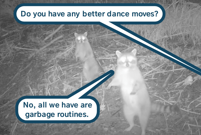 Do you have any better dance moves? - Lolcats - lol | cat memes | funny ...