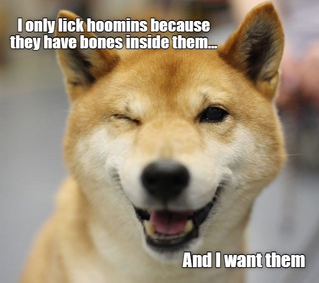 Shhh...Don't Tell Them - I Has A Hotdog - Dog Pictures - Funny pictures ...