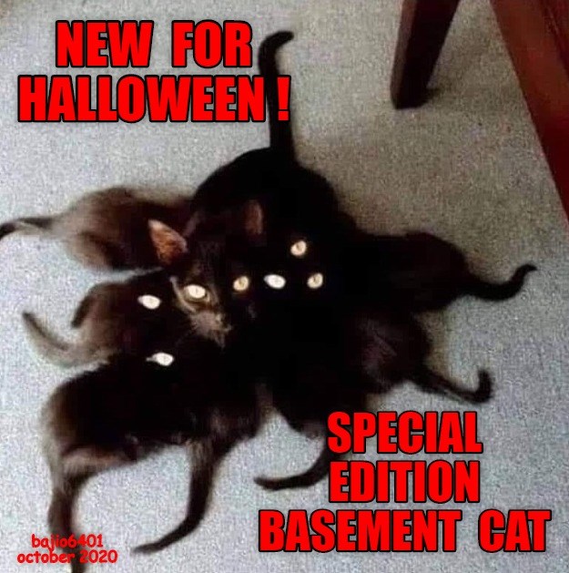 SCARY FUN FOR EVERYONE, GET YOURS TODAY! - Lolcats - lol | cat memes ...