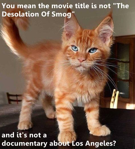 "The Desolation Of Smog" - Lolcats - lol | cat memes | funny cats ...
