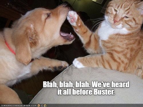 Blah, Blah - Lolcats - lol | cat memes | funny cats | funny cat ...