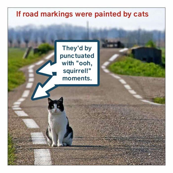 No fair! It's perfect - Lolcats - lol | cat memes | funny cats | funny ...