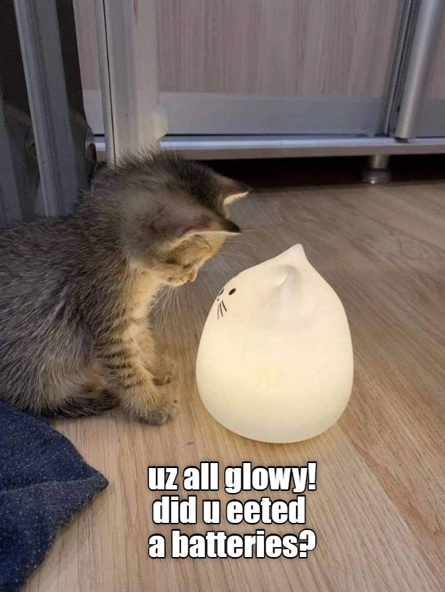 uz all glowy! did u eeted a batteries? - Lolcats - lol | cat memes ...