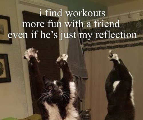 Exercise Buddy In The Mirror - Lolcats - lol | cat memes | funny cats ...