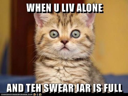 WHEN U LIV ALONE AND TEH SWEAR JAR IS FULL - Lolcats - lol | cat memes ...