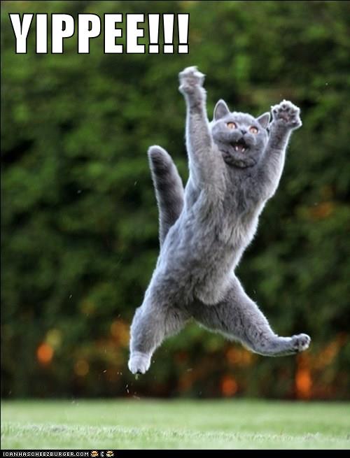 YIPPEE!!! - Lolcats - lol | cat memes | funny cats | funny cat pictures ...