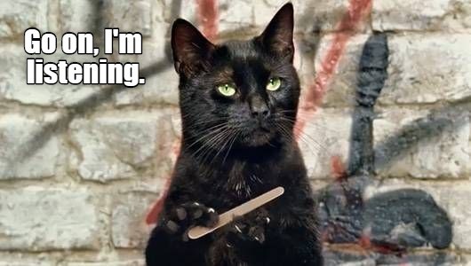 I'm listening - Lolcats - lol | cat memes | funny cats | funny cat ...
