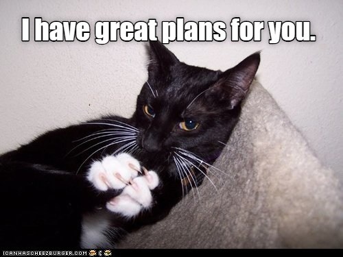 Greatness - Lolcats - lol | cat memes | funny cats | funny cat pictures ...