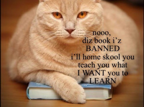 “How 2 Raise Well-Behaved Catz”: A Guide 4 Their Humanz - Lolcats - lol ...