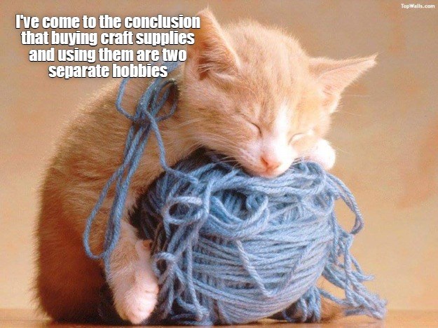 Maybe You Should Stick With Napping - Lolcats - lol | cat memes | funny ...