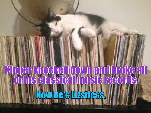 Classic Music - Lolcats - lol | cat memes | funny cats | funny cat ...