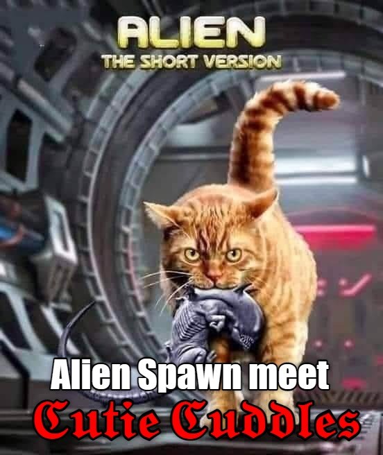 Cutie Cuddles, Bringer of Doom - Lolcats - lol | cat memes | funny cats ...