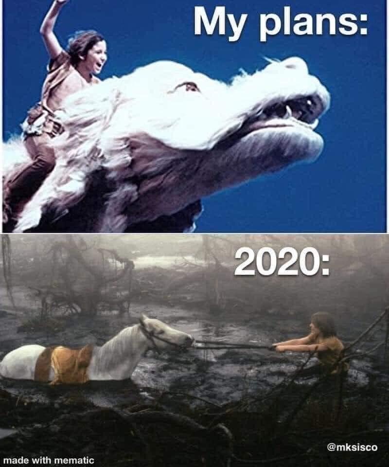 The Neverending Pandemic - 2020 Meme of the Year