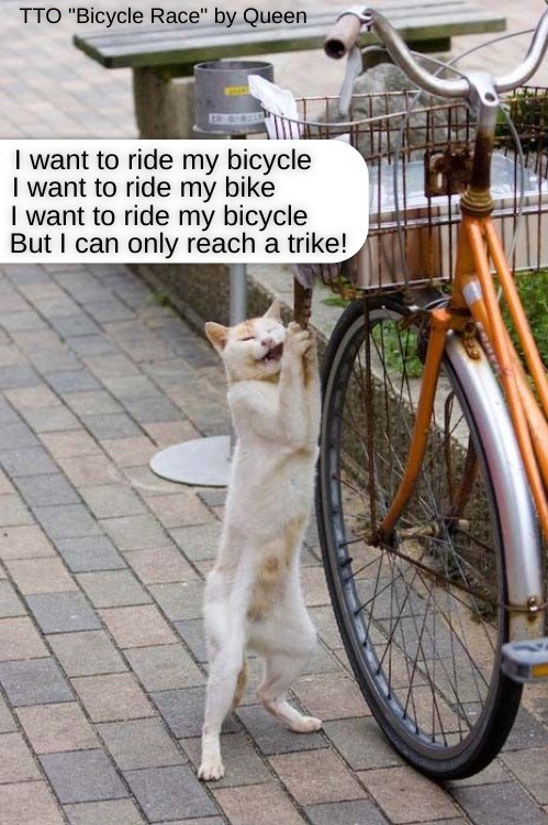 TTO "Bicycle Race" by Queen - Lolcats - lol | cat memes | funny cats ...