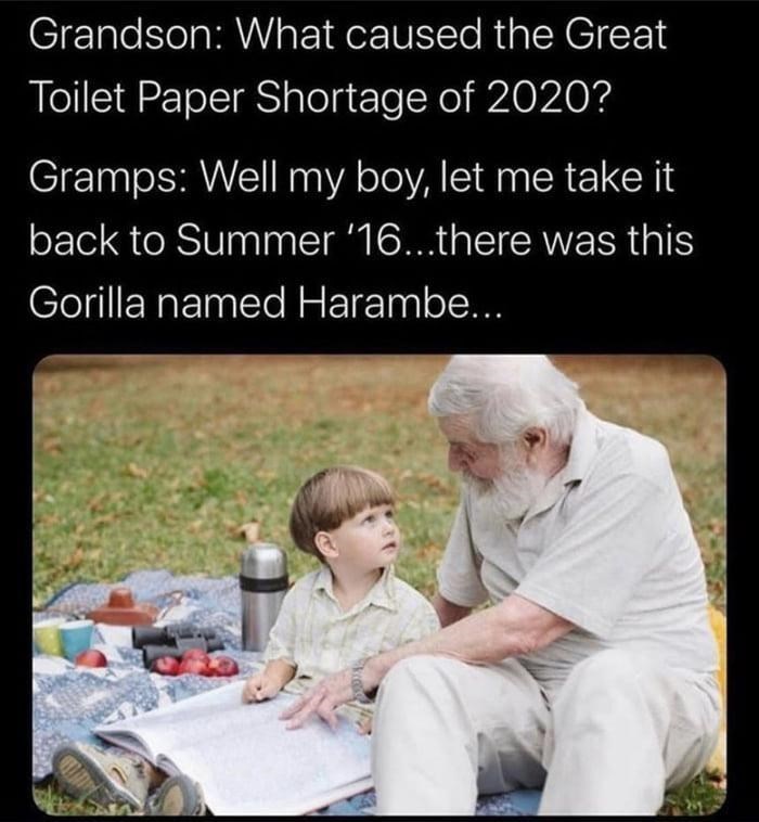 The Great Toilet Paper Shortage - 2020 Meme of the Year