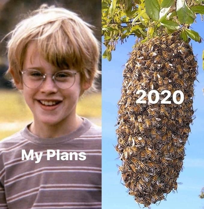 2020 Meme of the Year - 2020 memes - Cheezburger