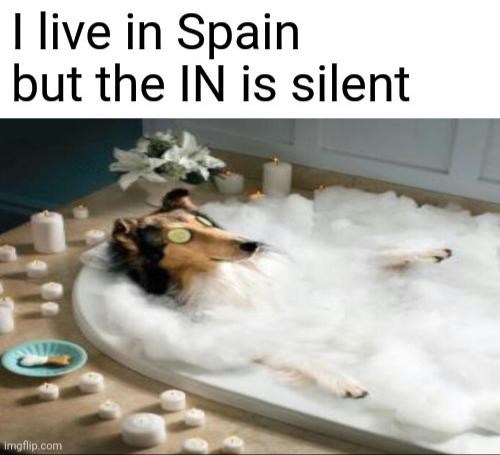 Memebase - spa - All Your Memes In Our Base - Funny Memes - Cheezburger