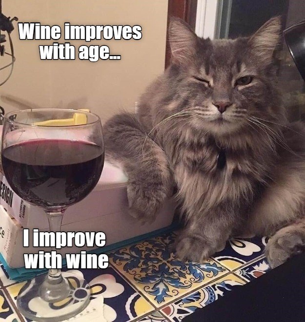 Alas, My Vision Does Not - Lolcats - lol | cat memes | funny cats ...