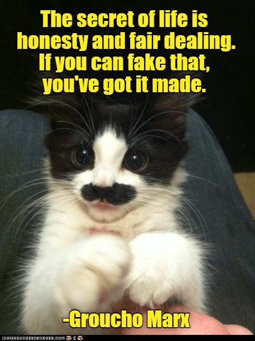 Truth - Lolcats - lol | cat memes | funny cats | funny cat pictures ...