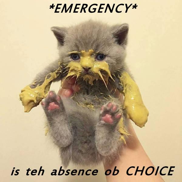 *EMERGENCY* - Lolcats - lol | cat memes | funny cats | funny cat ...