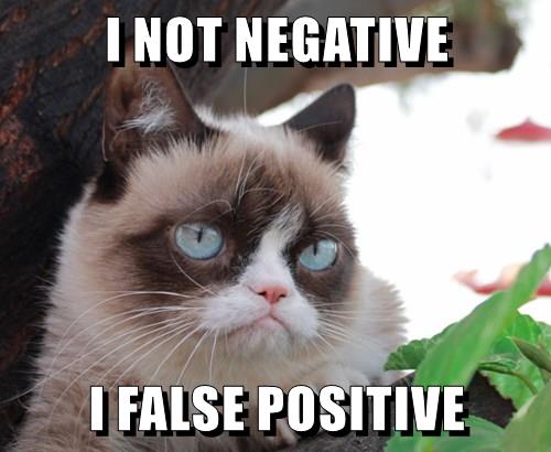 I NOT NEGATIVE I FALSE POSITIVE - Lolcats - lol | cat memes | funny ...