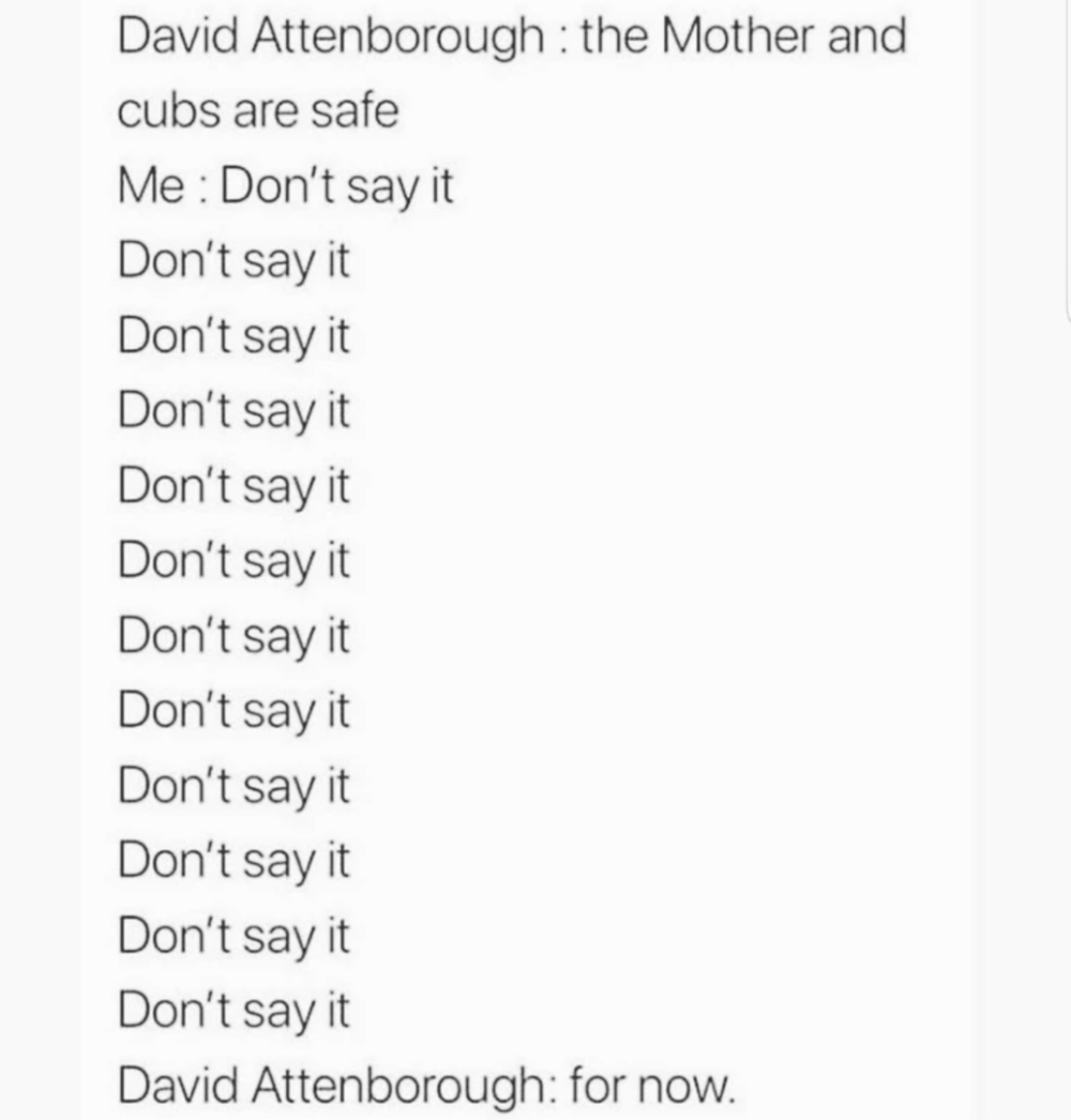 Please Don't Say It - Memebase - Funny Memes