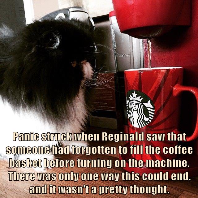 Panic. Attack - Lolcats - lol | cat memes | funny cats | funny cat ...