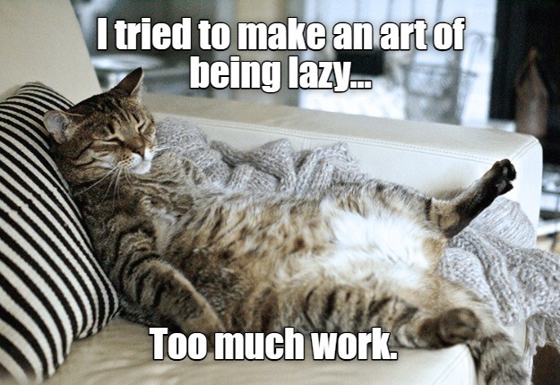 Too much work - Lolcats - lol | cat memes | funny cats | funny cat ...