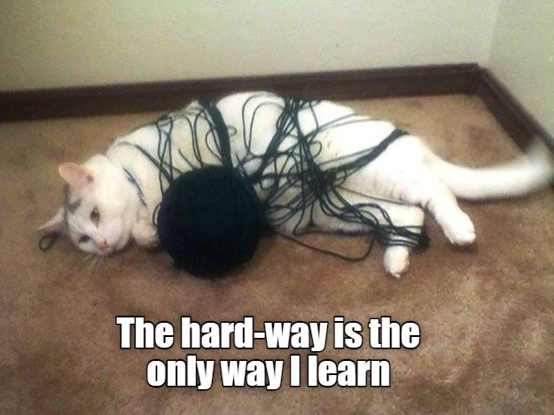How Would You Say You Learn Best? - Lolcats - lol | cat memes | funny ...