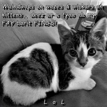 Deez ar a fyoo ob my FAY borit FINGS! - Lolcats - lol | cat memes ...