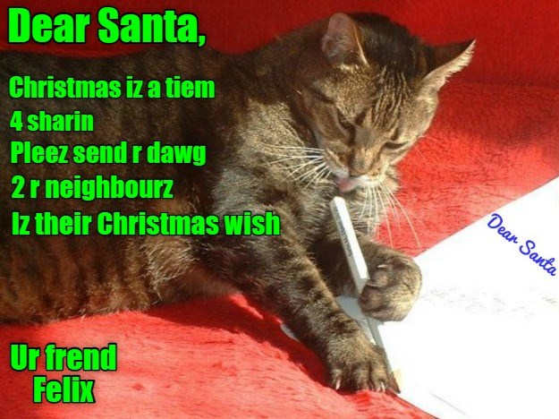 Sharing is caring - Lolcats - lol | cat memes | funny cats | funny cat ...