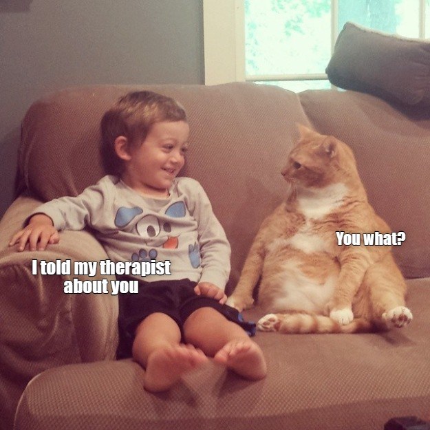 Only The Good Stuff - Lolcats - lol | cat memes | funny cats | funny ...