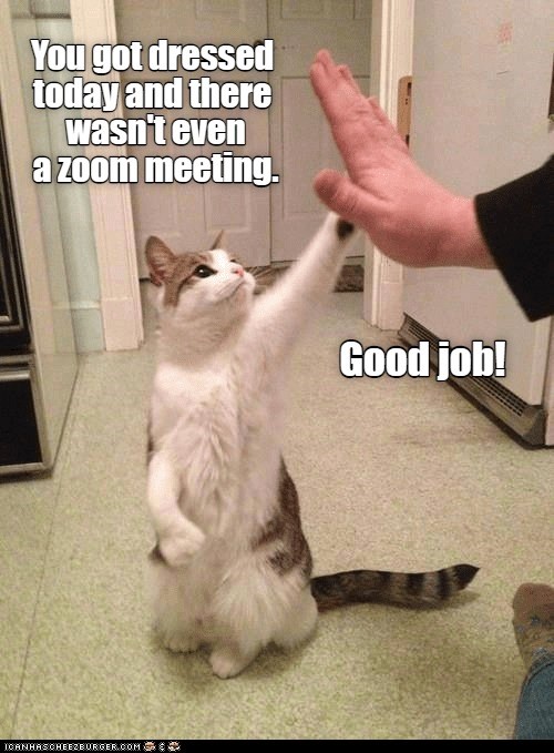 Good job! - Lolcats - lol | cat memes | funny cats | funny cat pictures ...