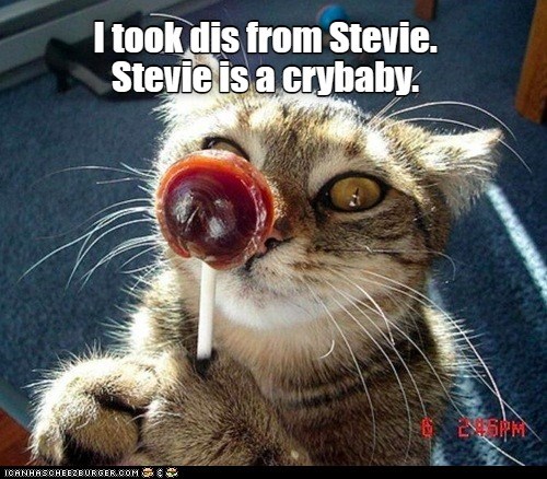 Stevie wonders - Lolcats - lol | cat memes | funny cats | funny cat ...