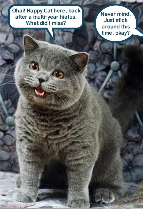 Hurray! A Happy Cat sighting - Lolcats - lol | cat memes | funny cats ...
