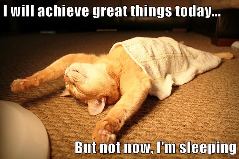 not now - I Can Has Cheezburger?