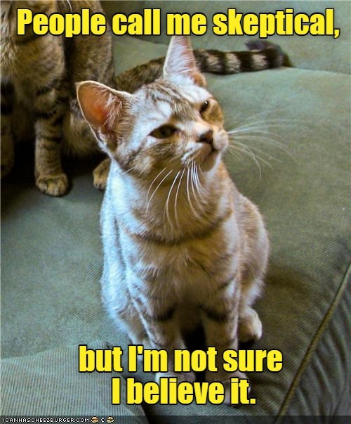 I'm positively unsure. - Lolcats - lol | cat memes | funny cats | funny ...
