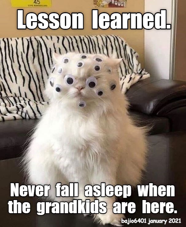 I'M HIDING NEXT TIME - Lolcats - lol | cat memes | funny cats | funny ...