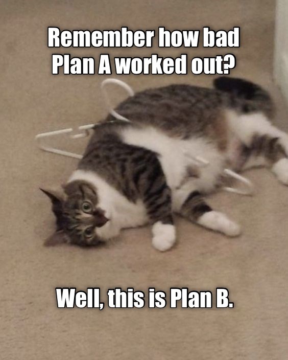 I give up. - Lolcats - lol | cat memes | funny cats | funny cat ...