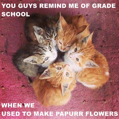 YOU GUYS REMIND ME OF GRADE SCHOOL WHEN WE USED TO MAKE PAPURR FLOWERS ...