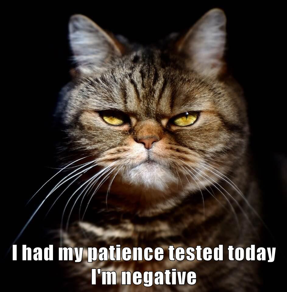 I'm negative - Lolcats - lol | cat memes | funny cats | funny cat pictures with words on them ...