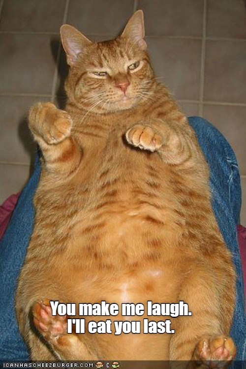 Laugh saver - Lolcats - lol | cat memes | funny cats | funny cat ...