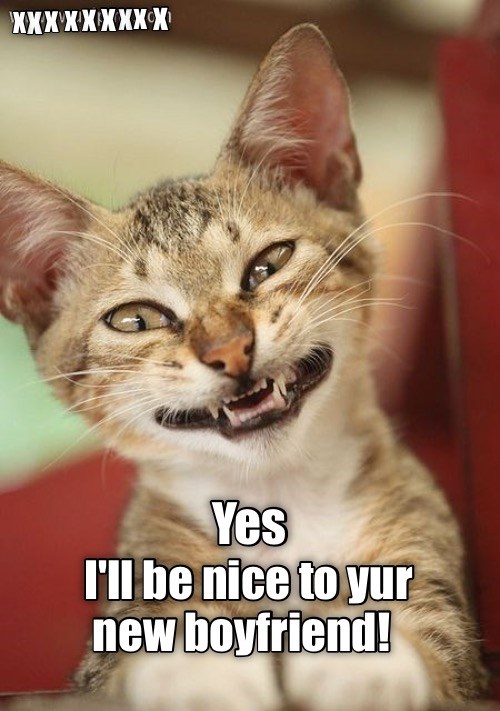 Don't you trust me? - Lolcats - lol | cat memes | funny cats | funny ...