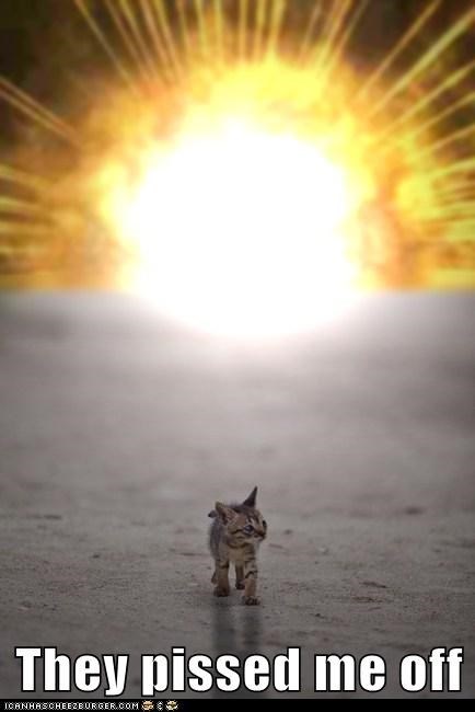 boom. - I Can Has Cheezburger?