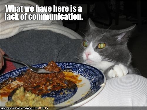 Lack of communication - Lolcats - lol | cat memes | funny cats | funny ...