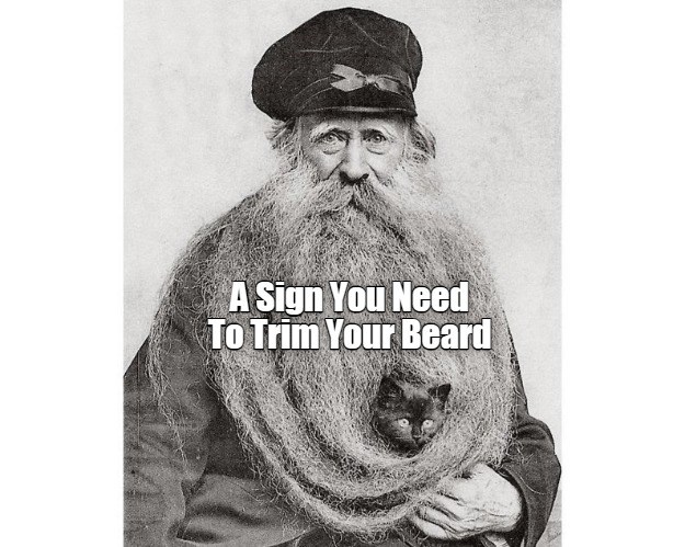 Signs - Lolcats - lol | cat memes | funny cats | funny cat pictures ...