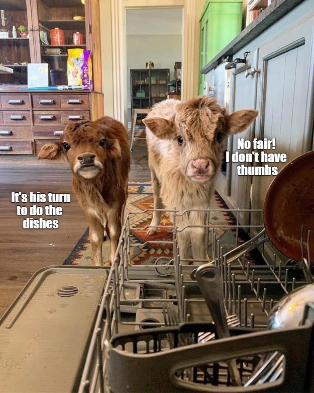 Children Complaining About Chores - Animal Comedy - Animal Comedy ...