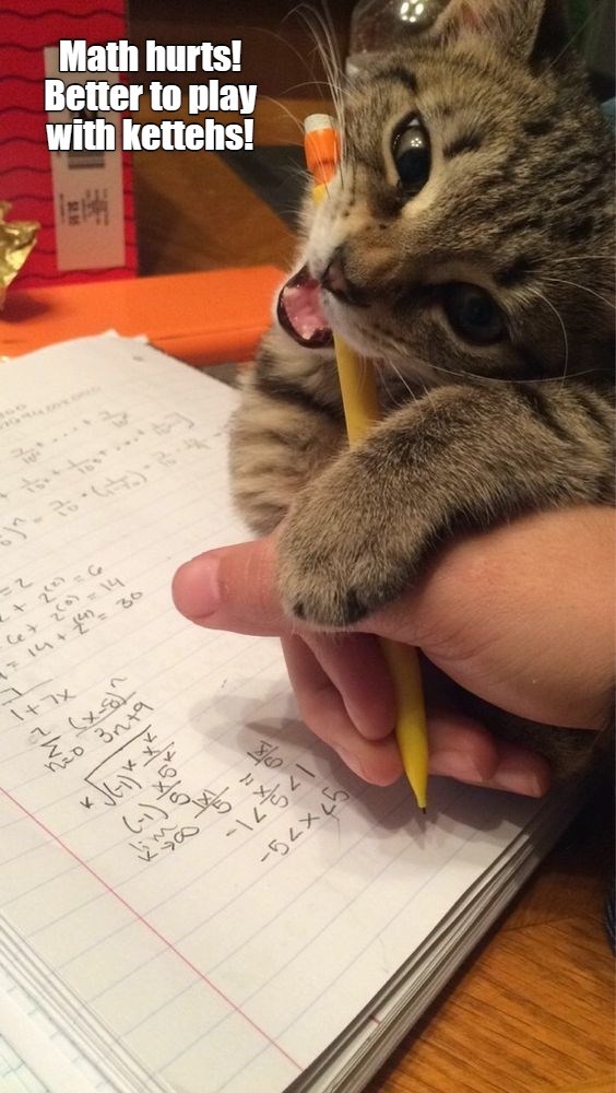 Do the math - Lolcats - lol | cat memes | funny cats | funny cat ...
