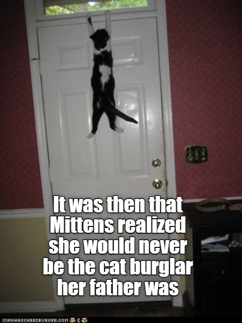 Good Try Though - Lolcats - lol | cat memes | funny cats | funny cat ...